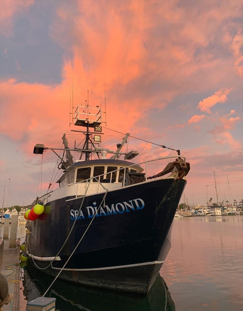 SEA DIAMOND - Vesseljoin