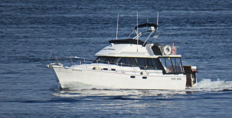 PIPE DREAM - Vesseljoin