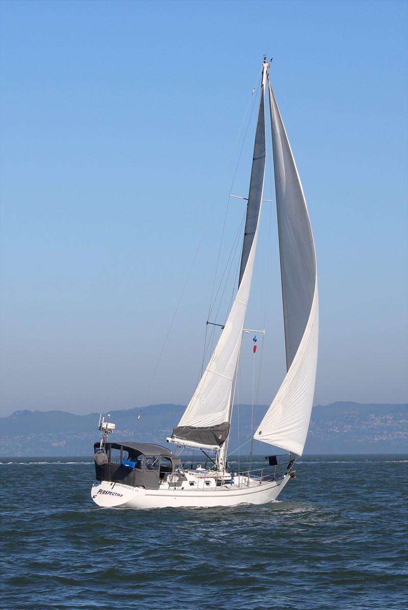 PERSPECTIVE - Vesseljoin