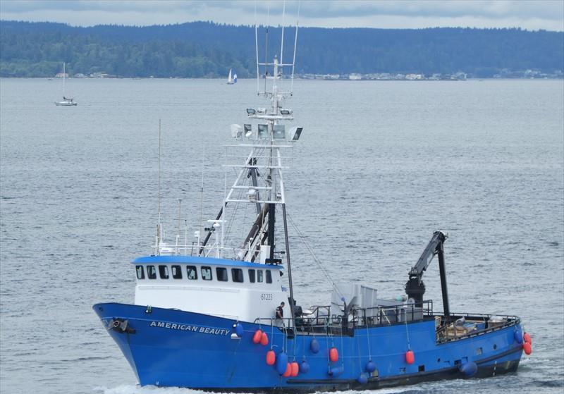 AMERICAN BEAUTY - Vesseljoin