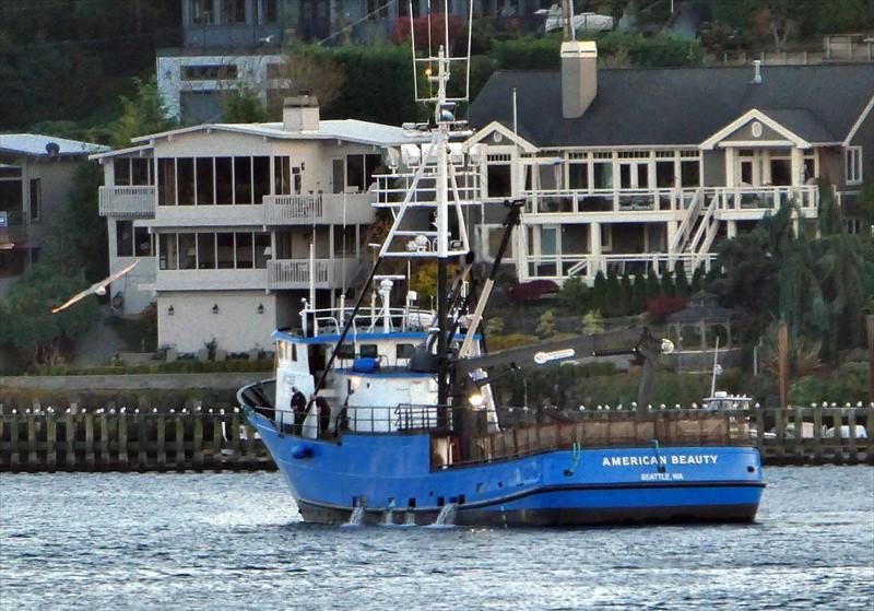 AMERICAN BEAUTY - Vesseljoin