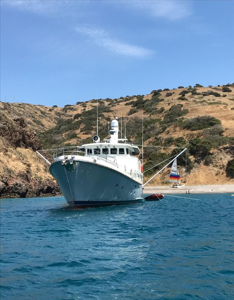 SEAHORSE - Vesseljoin