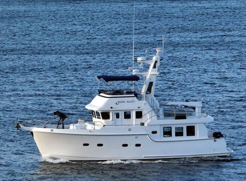 ESCAPE VELOCITY - Vesseljoin