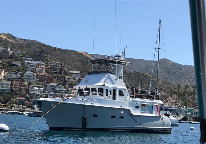 MISS BEE HAVN - Vesseljoin