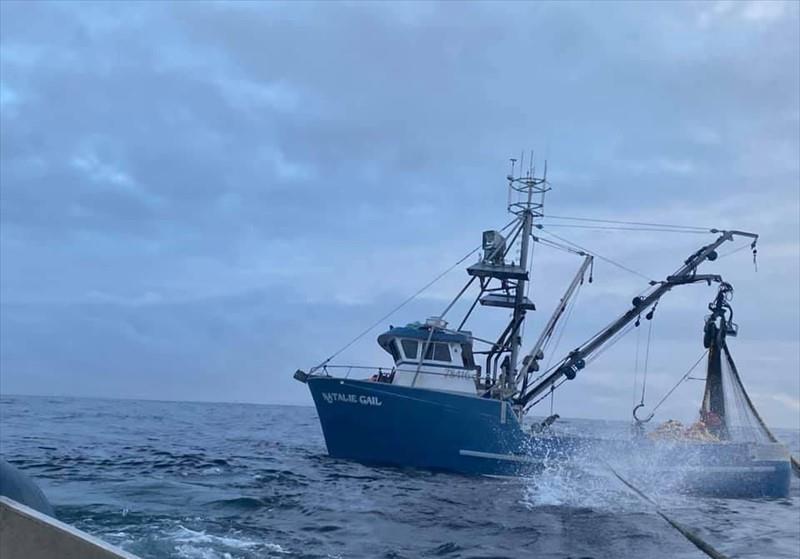 NATALIE GAIL - Vesseljoin