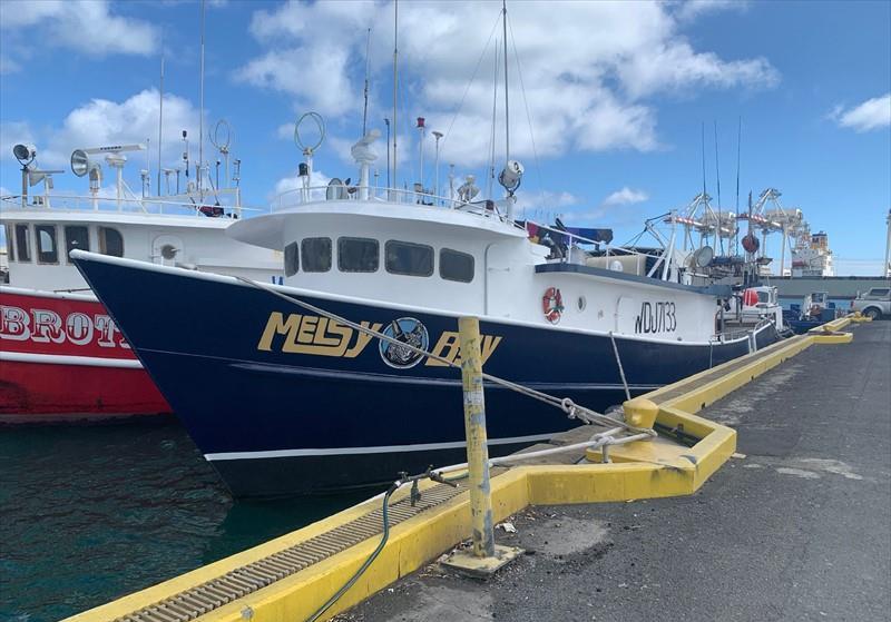 MELSY BOY - Vesseljoin