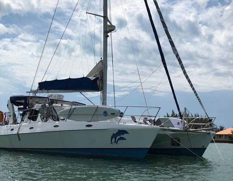 DELPHINE - Vesseljoin