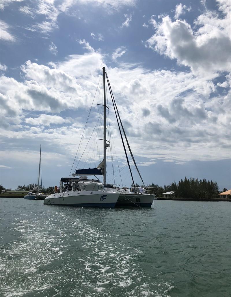 DELPHINE - Vesseljoin