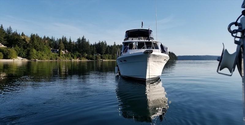 SALISH SEAHAWK - Vesseljoin