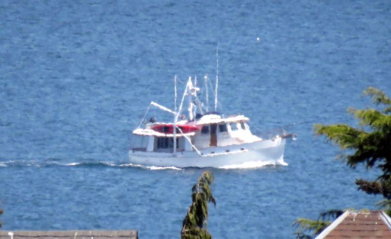 CAPTAIN KIDD - Vesseljoin