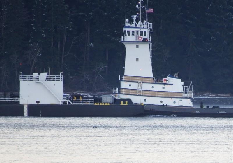 TODD E.PROPHET - Vesseljoin