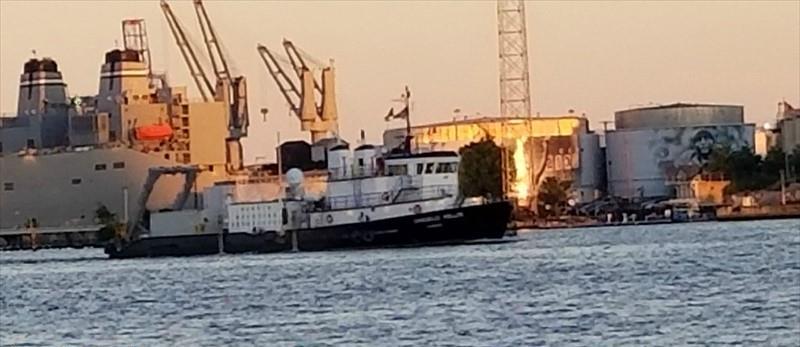 DANIELLE MILLER - Vesseljoin