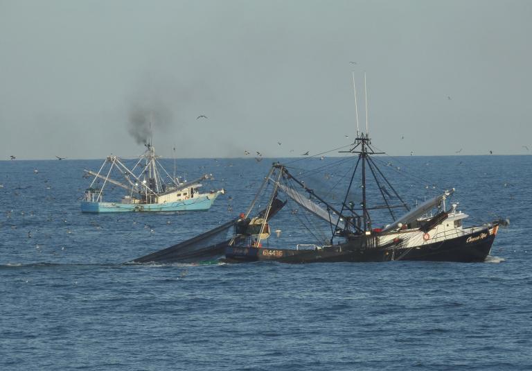 CARESSA MAE - Vesseljoin