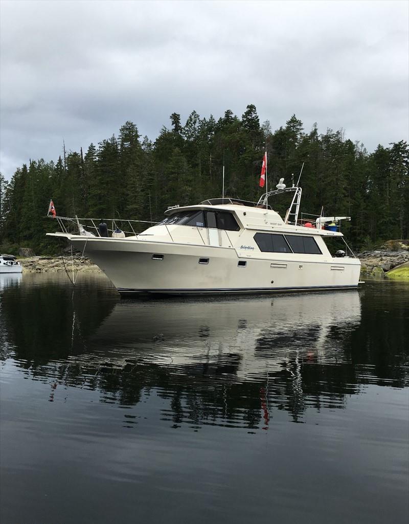 SCHOCKING - Vesseljoin