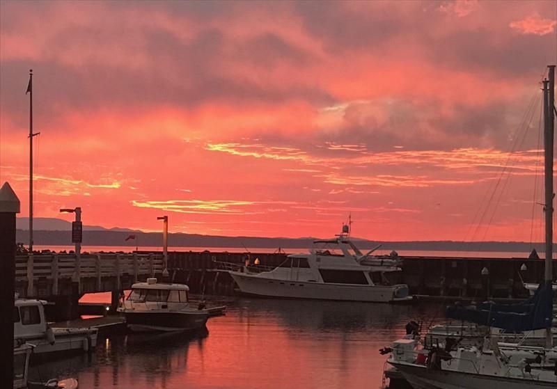 CHECKERED FLAG - Vesseljoin