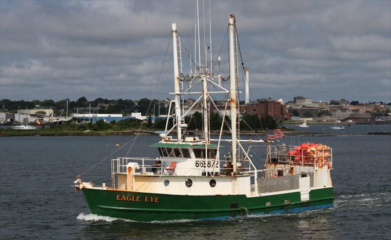 EAGLE EYE - Vesseljoin