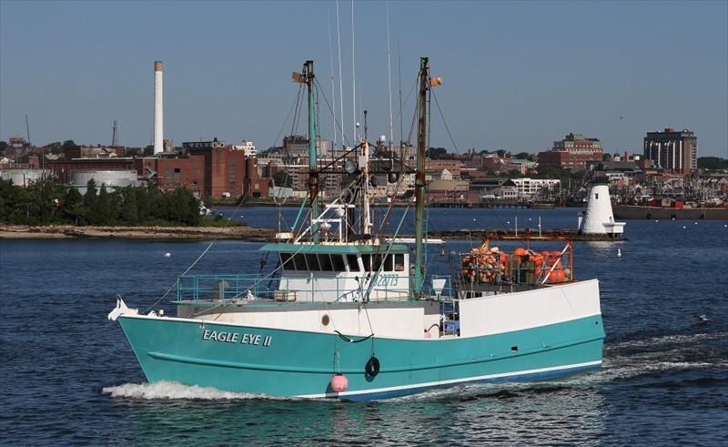 EAGLE EYE II - Vesseljoin