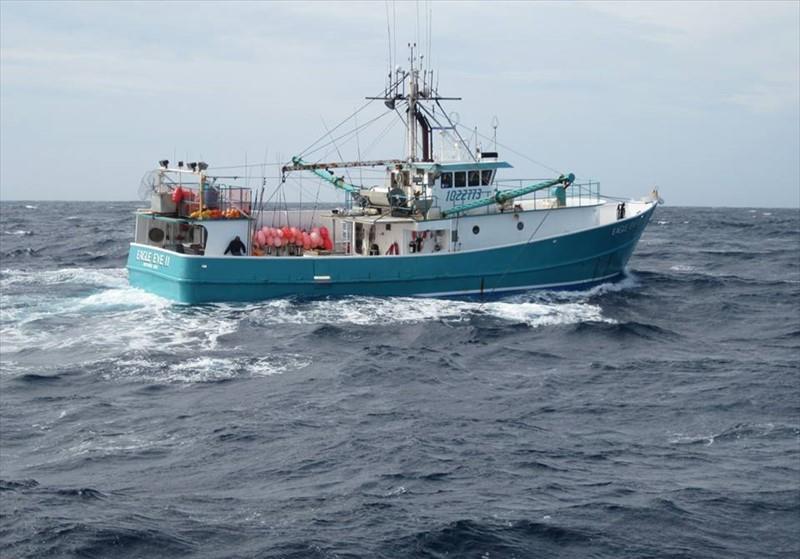 EAGLE EYE II - Vesseljoin