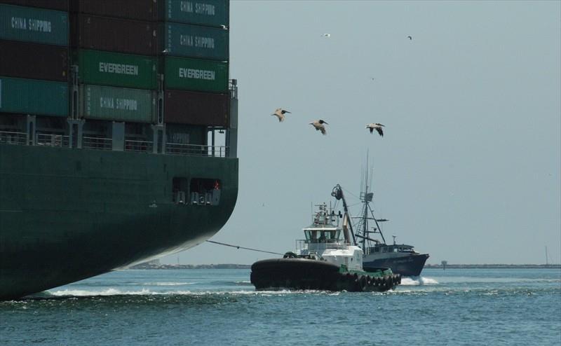 BERING WIND - Vesseljoin