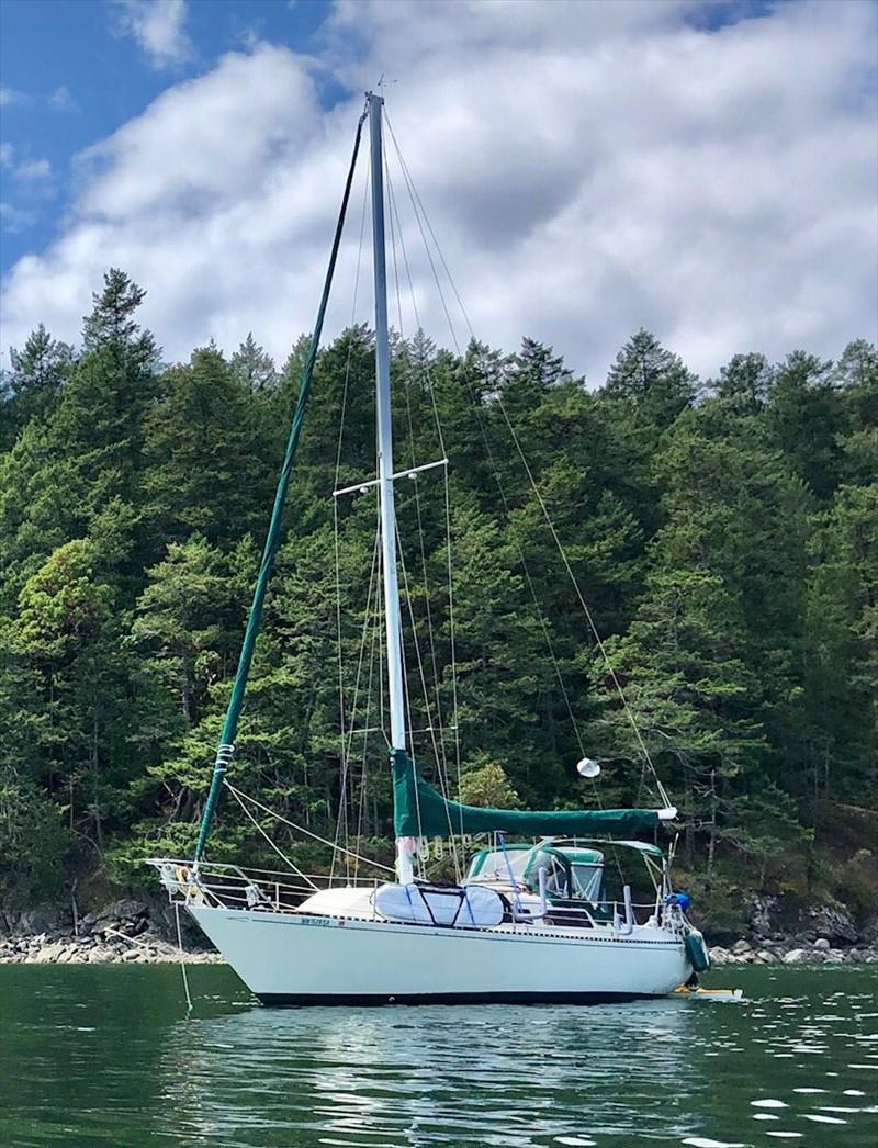 SUMMER PAINTER - Vesseljoin