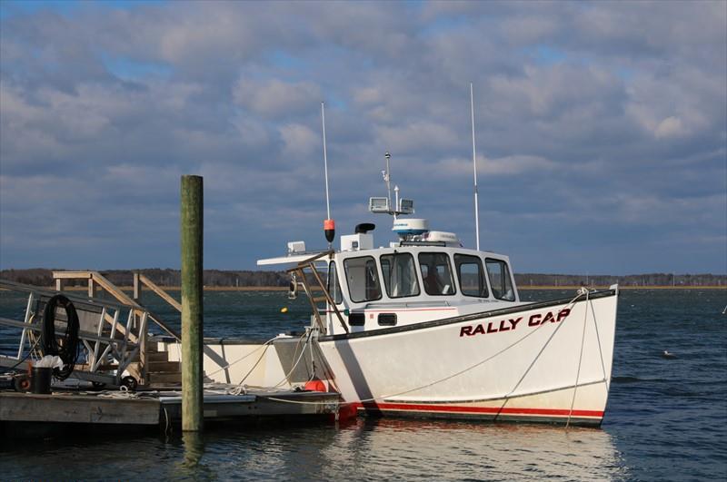 RALLY CAP - Vesseljoin