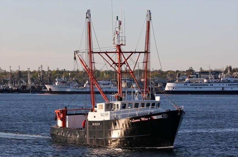 LAURA MAE - Vesseljoin