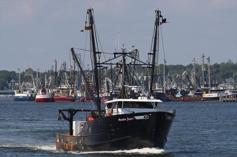 AMELIA JOYCE - Vesseljoin