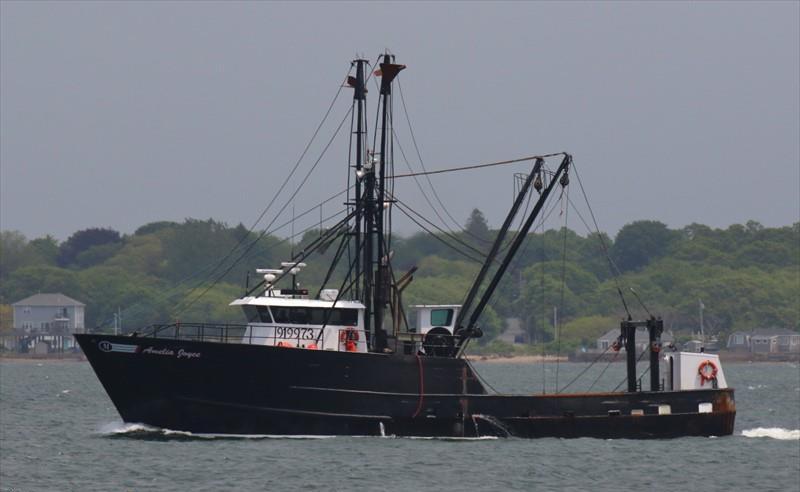 AMELIA JOYCE - Vesseljoin