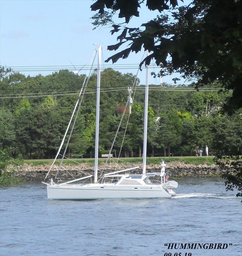 HUMMINGBIRD - Vesseljoin