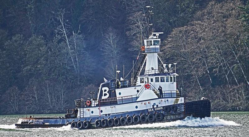 SEA HAWK - Vesseljoin