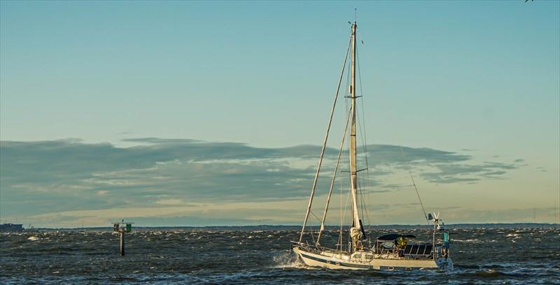 POPPYCOCK - Vesseljoin