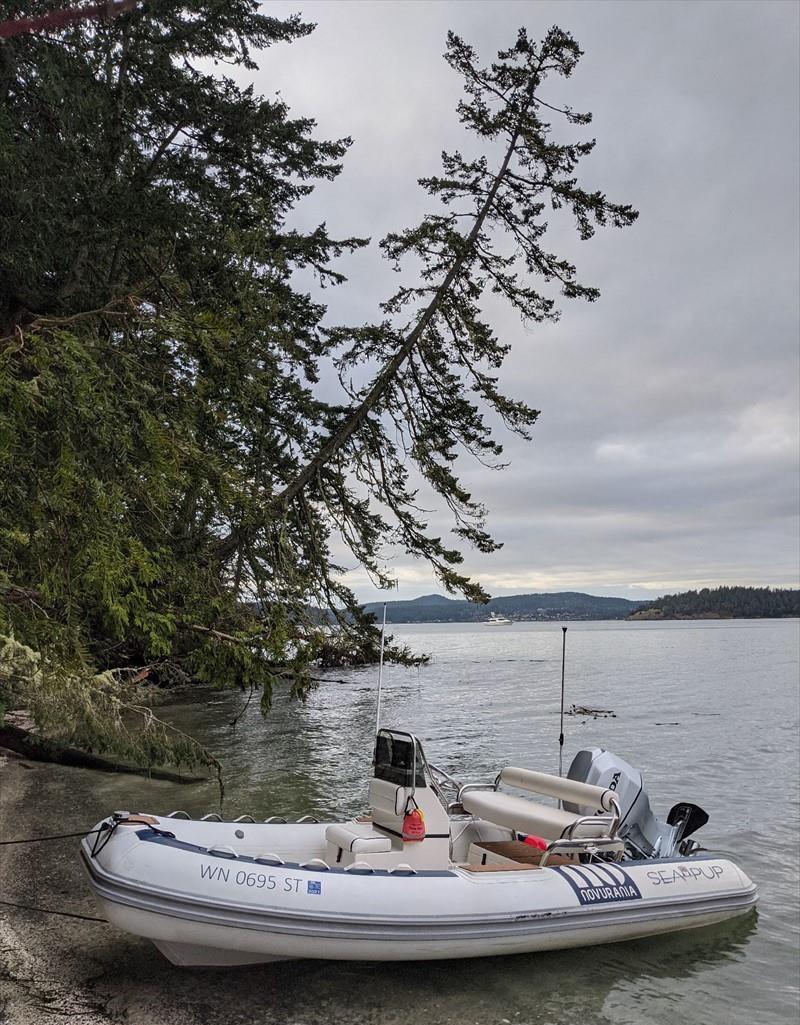 SEA PUP - Vesseljoin