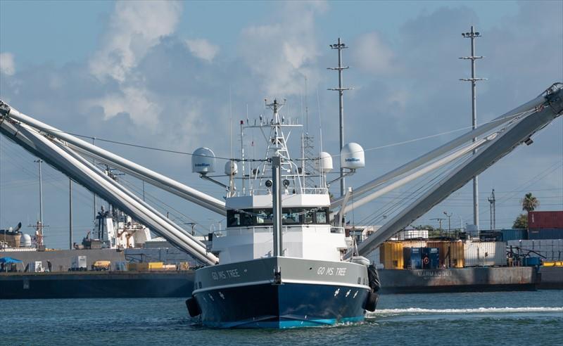 GO MS.TREE - Vesseljoin