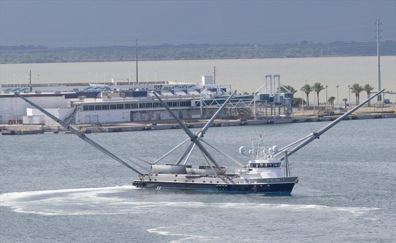 GO MS.TREE - Vesseljoin