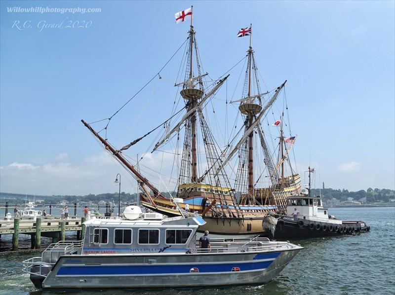 SILVER EEL - Vesseljoin