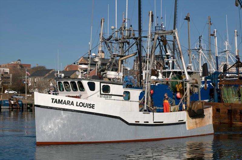 TAMARA LOUISE - Vesseljoin