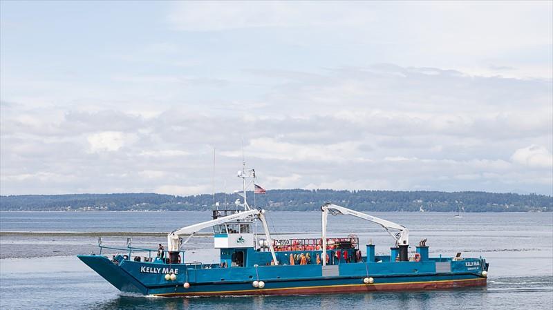 KELLY MAE - Vesseljoin