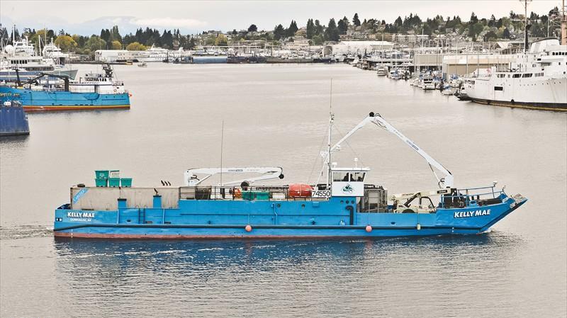 KELLY MAE - Vesseljoin