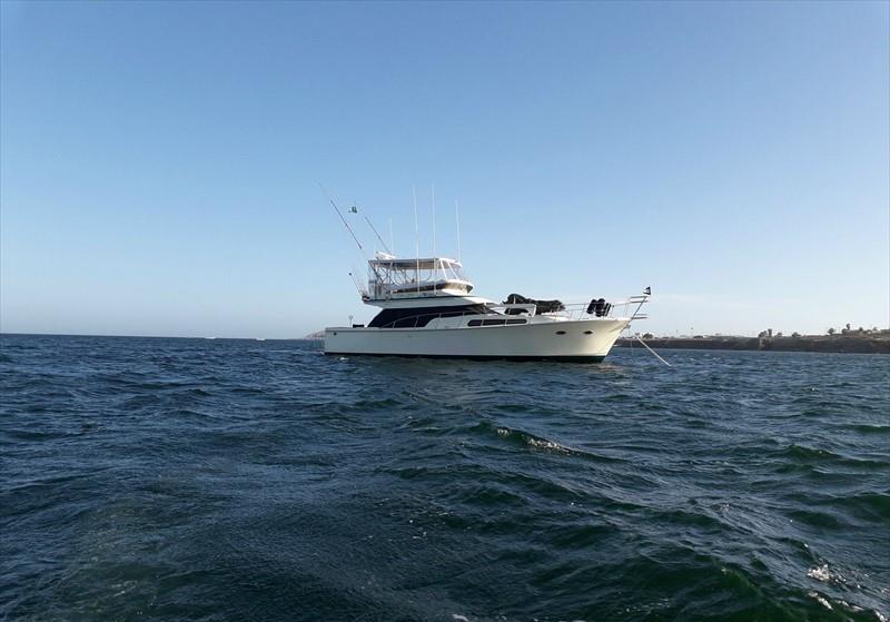 FISH LIMO - Vesseljoin