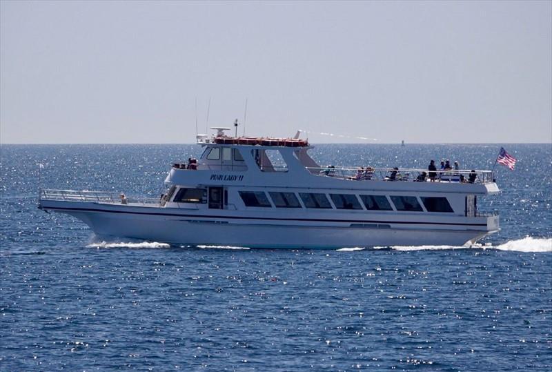 PINK LADY II - Vesseljoin