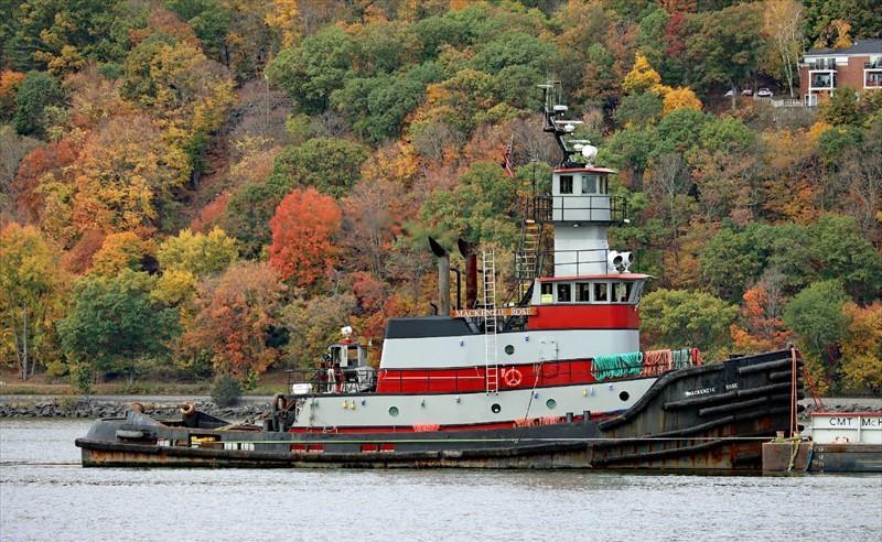 MACKENZIE ROSE - Vesseljoin