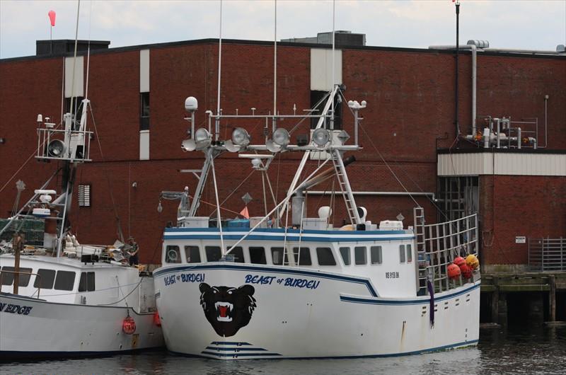 BEAST OF BURDEN - Vesseljoin