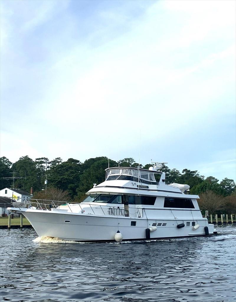 EUPHORIA - Vesseljoin