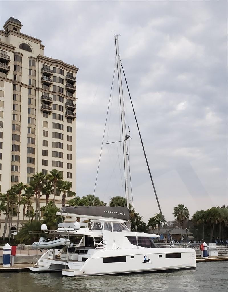 JUST LION AROUND - Vesseljoin