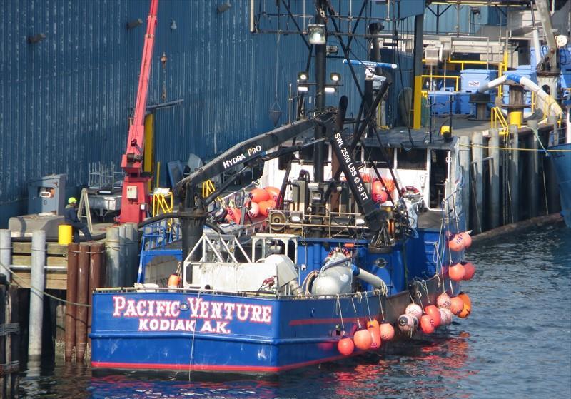 PACIFIC VENTURE - Vesseljoin