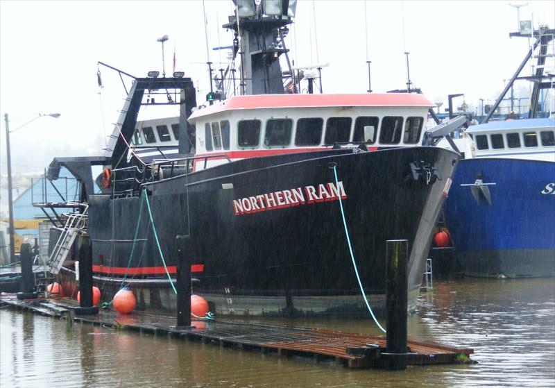 BLUE FOX - Vesseljoin