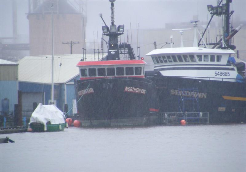 BLUE FOX - Vesseljoin