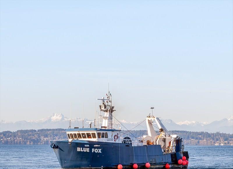 BLUE FOX - Vesseljoin