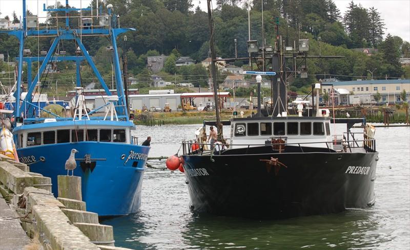 PREDATOR - Vesseljoin