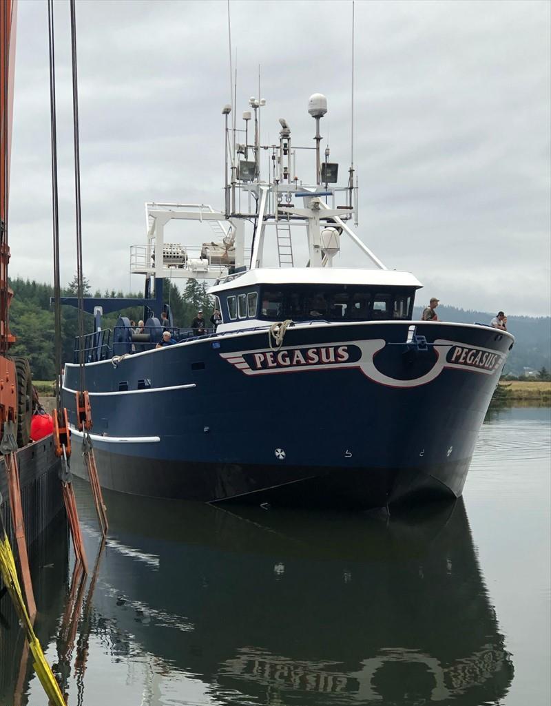 PEGASUS - Vesseljoin